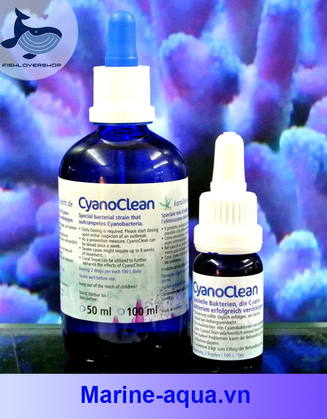 Cyano Clean - Marine Aqua